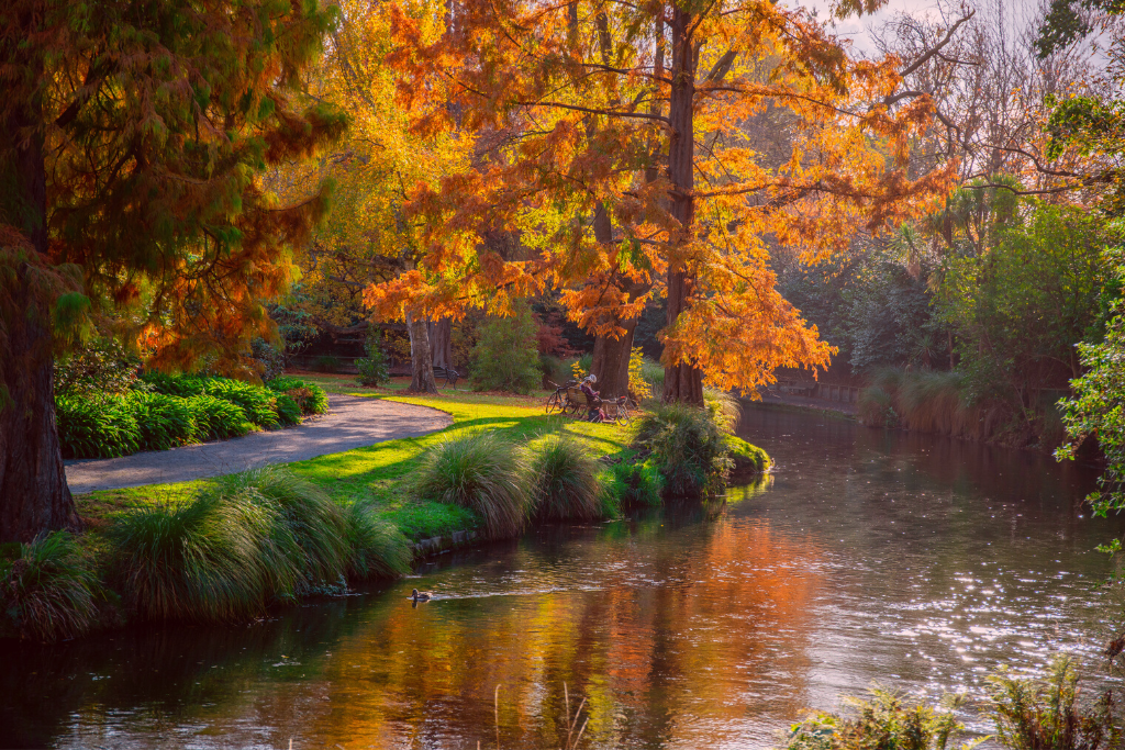 Explore the Beauty of Autumn in NZ | VR Group