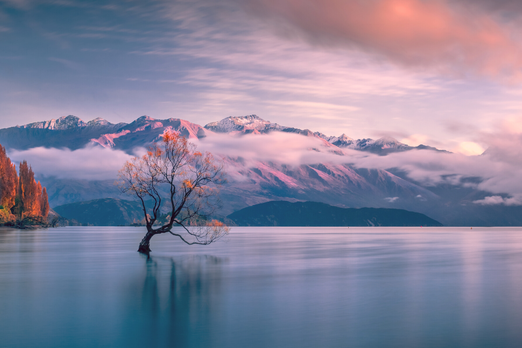 Explore the Beauty of Autumn in NZ | VR Group