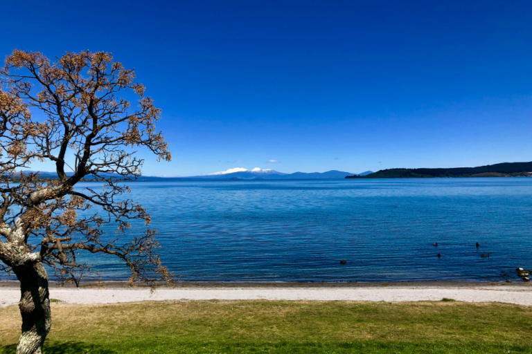 What to do in Lake Taupo: Top Activities and Adventures | VR Hotels